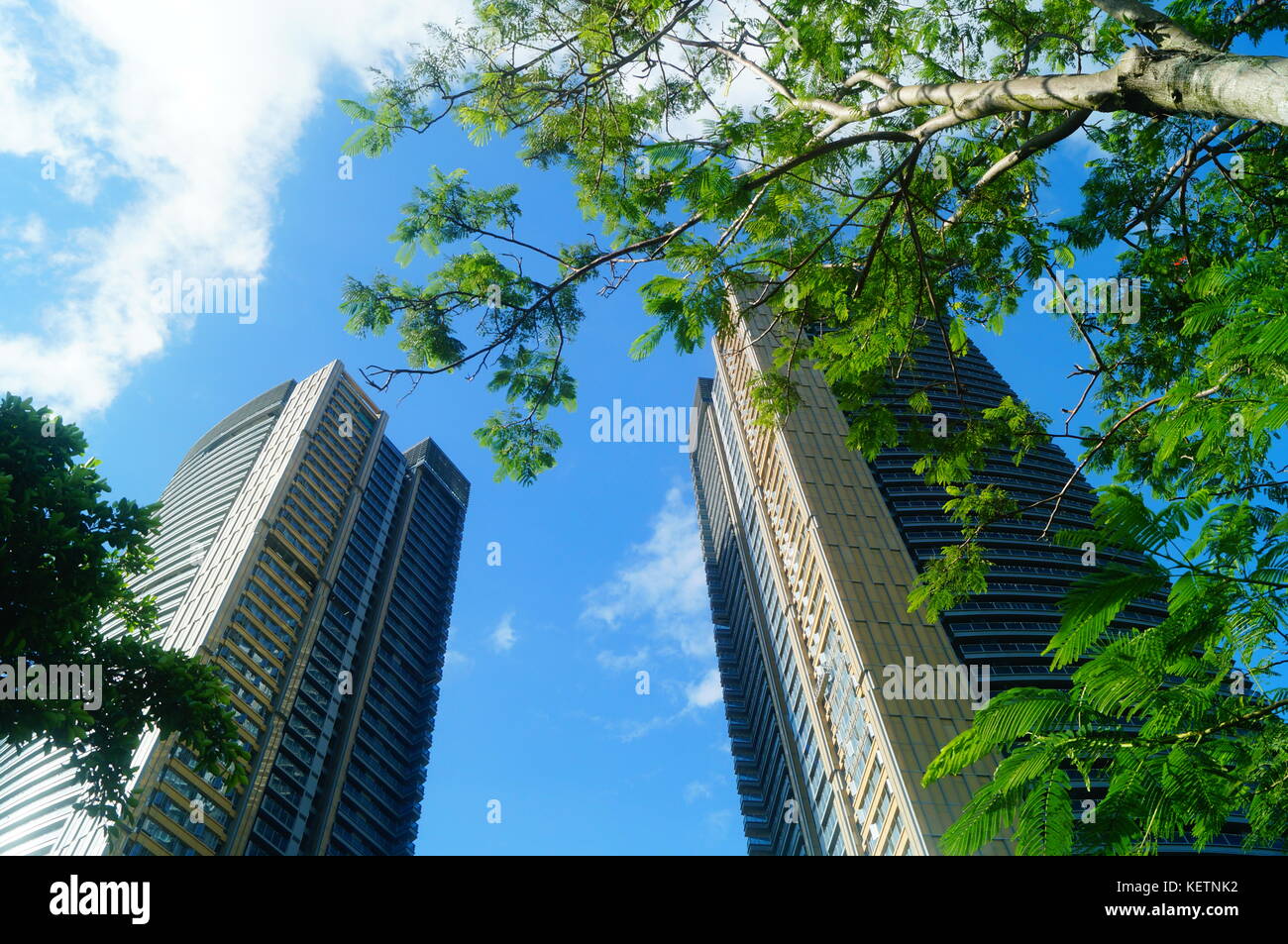 High rise buildings in Shekou, Shenzhen, China Stock Photo - Alamy