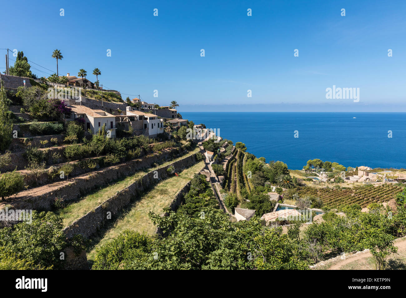 Cultivated terraces in Banyalbufar, Majorca (Balearic Islands, Spain ...