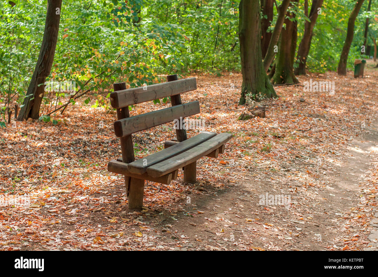 Wooden forest park bench for relaxation Stock Photo - Alamy