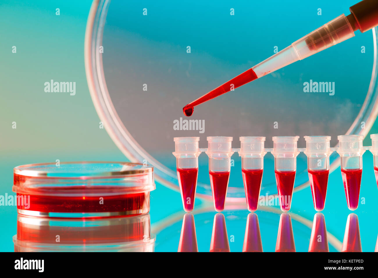 Pipette and Pcr strip Stock Photo - Alamy