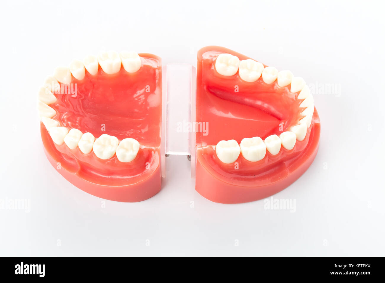 Human jawbone hi-res stock photography and images - Alamy