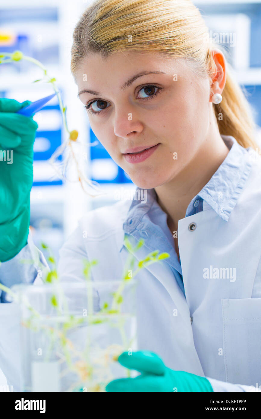 Experiment with genetically modified plants. Young woman laboratory ...