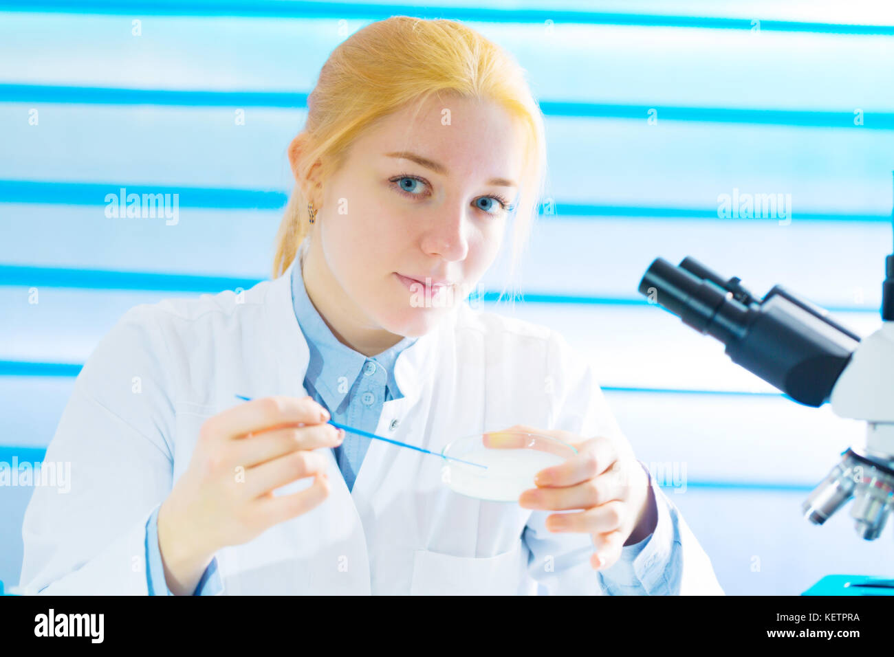 Laboratory assistant in the medical laboratory control a ...