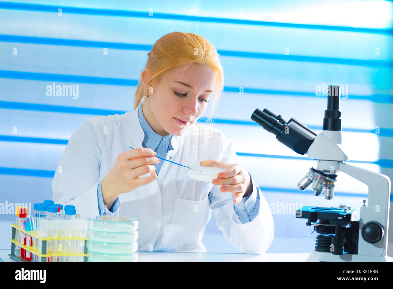 Laboratory assistant in the medical laboratory control a ...