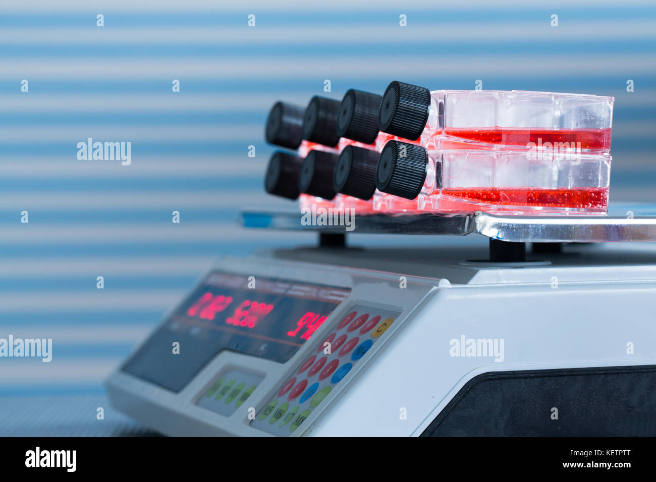 Laboratory shaker with cuvettes containers for cultivation of Stem ...