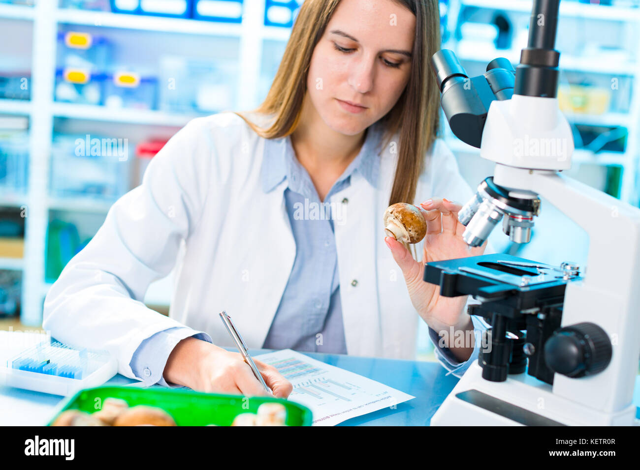 Champignon mushroom research in laboratory. Food Processing and Quality ...