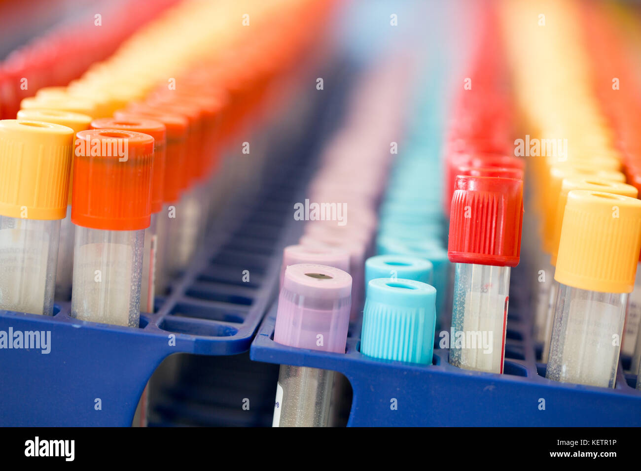 BERLIN, GERMANY - June 06, 2016: BD Vacutainer blood collection tubes ...