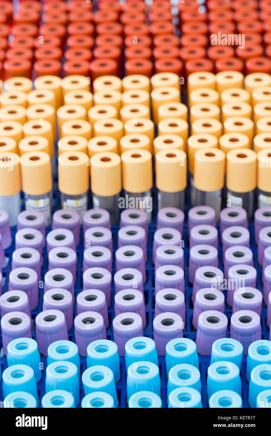 BERLIN, GERMANY - June 06, 2016: BD Vacutainer blood collection tubes ...