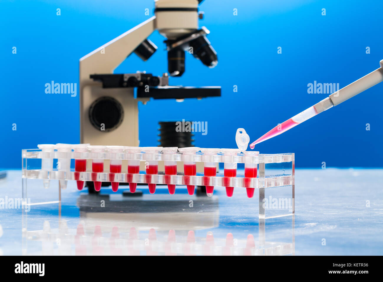 Identification of pathogenic microbes and viruses Stock Photo - Alamy