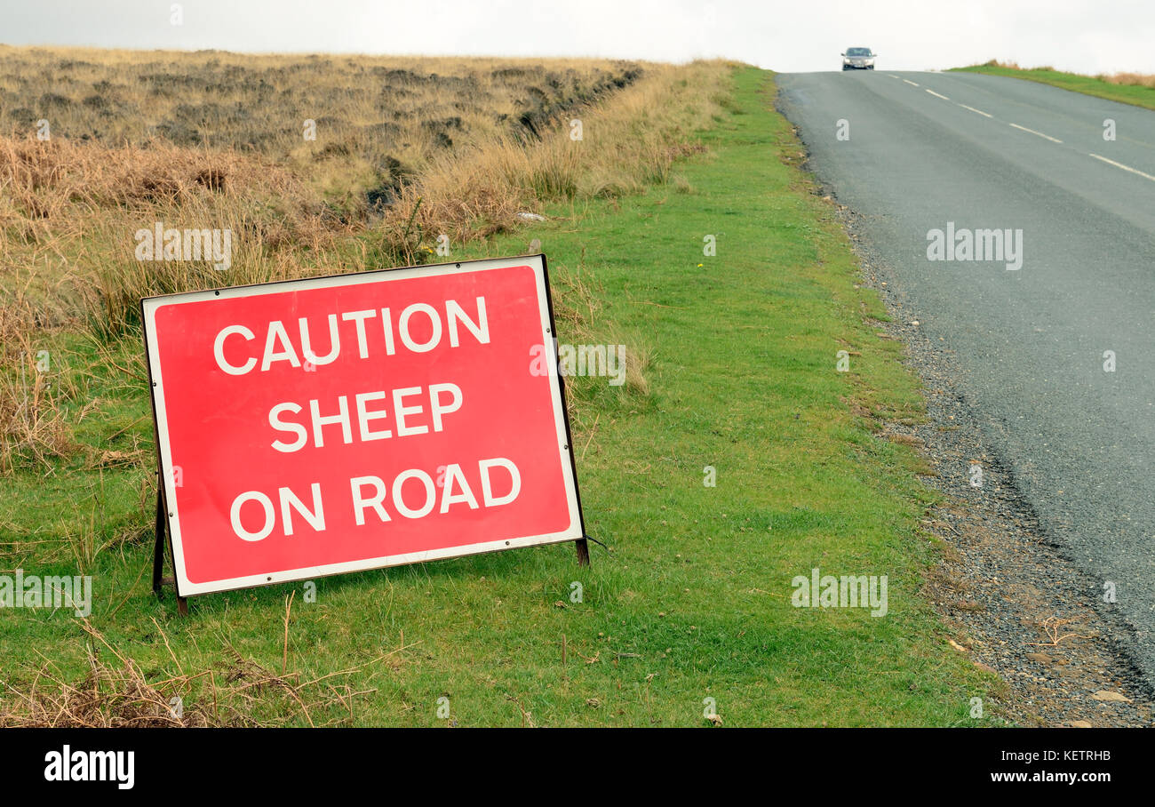 Caution sheep on road notice beside a moorland road Stock Photo - Alamy
