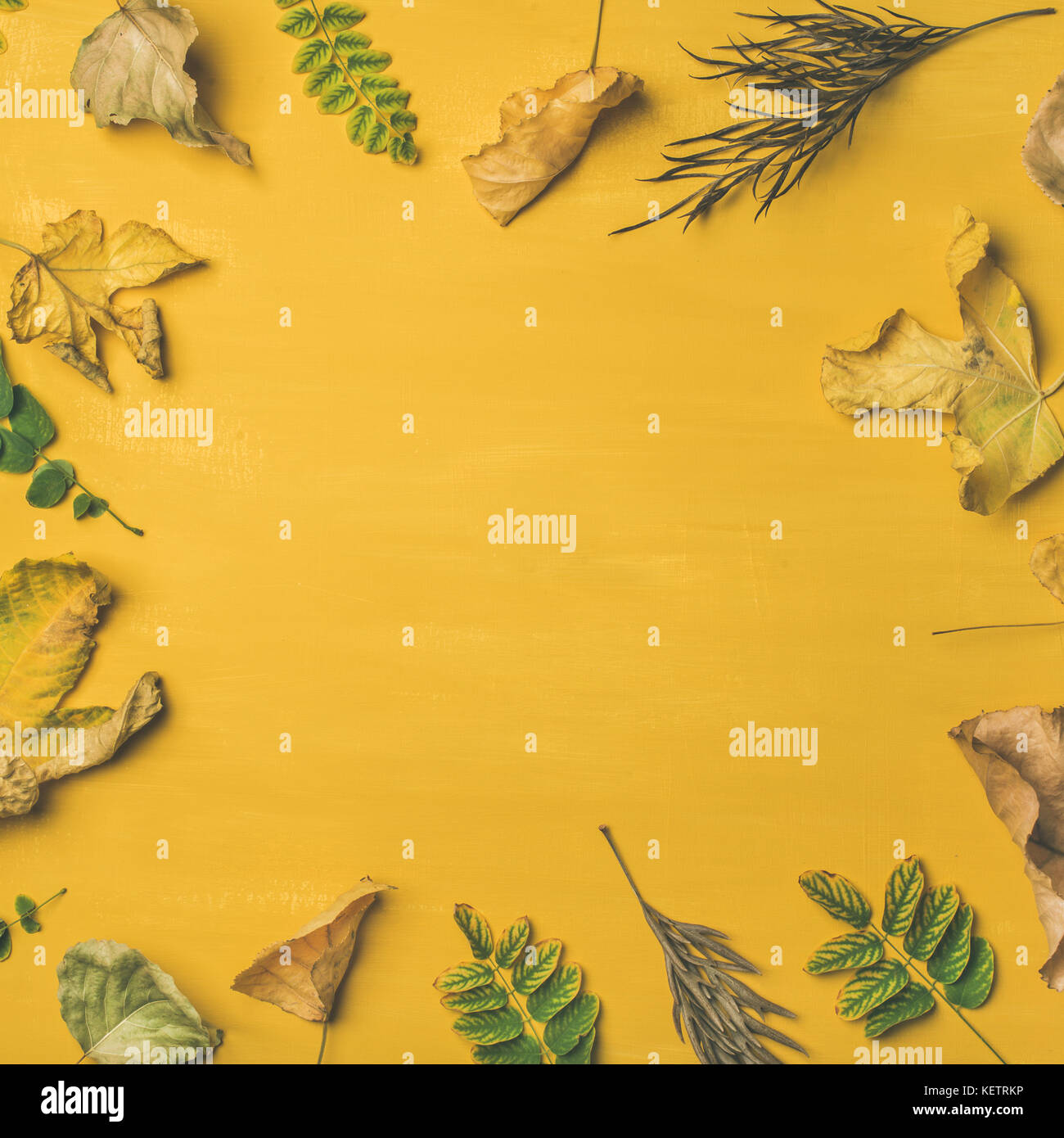 Autumn or Fall pattern, background and texture over yellow background ...