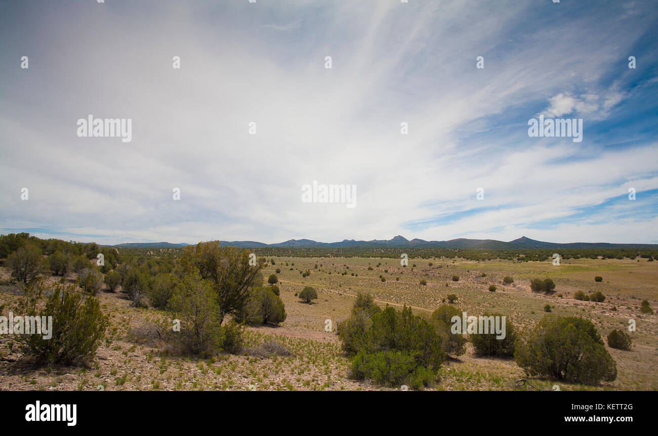 High plateau desert near the outskirts of Prescott Arizona Stock Photo ...