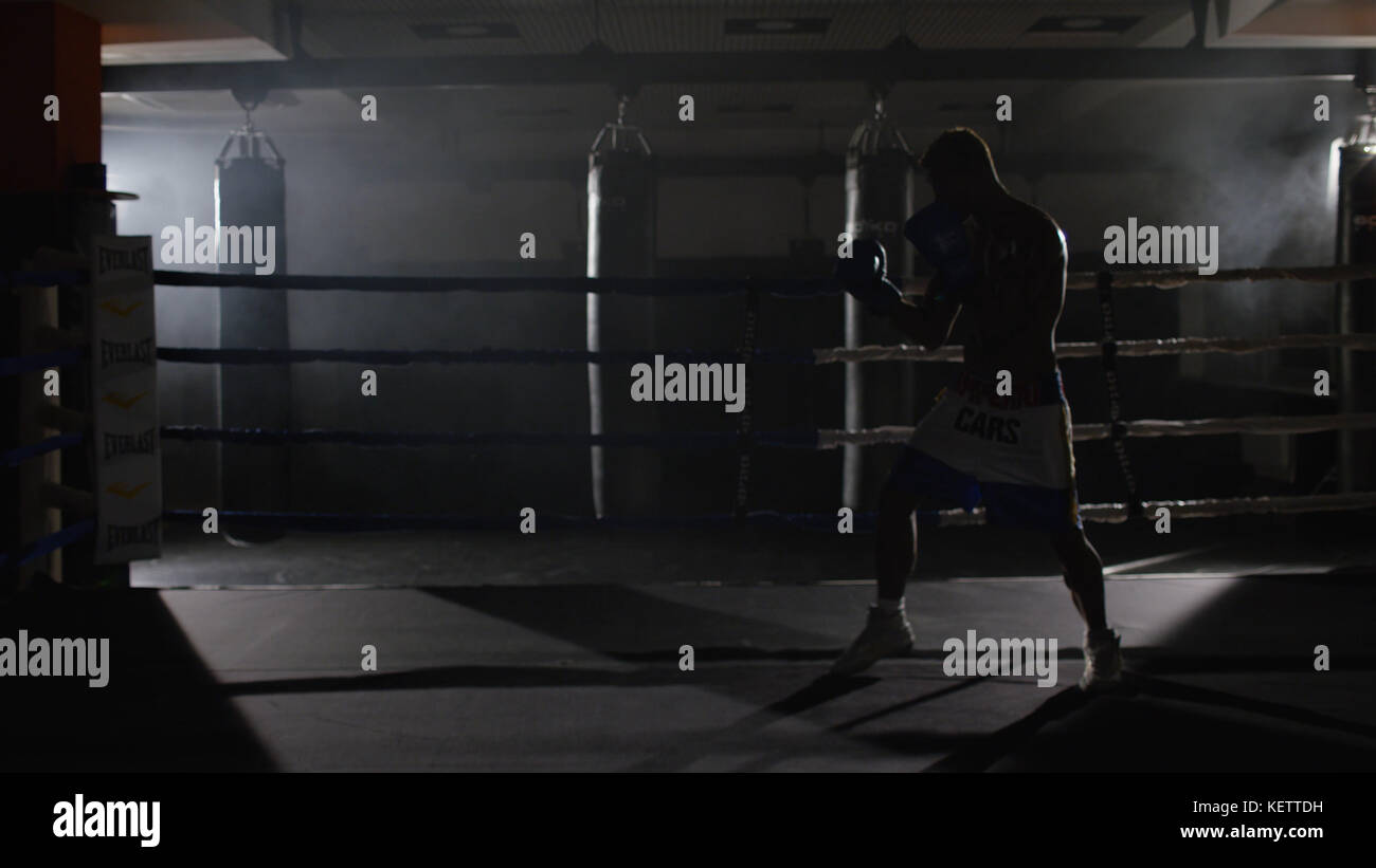 Fighter shadowboxing on training ring. Professional fighter. Male boxer ...