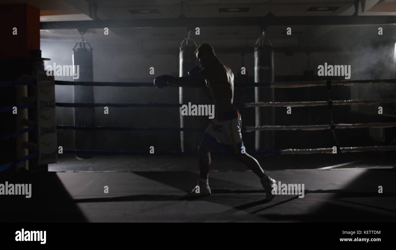 Fighter shadowboxing on training ring. Professional fighter. Male boxer ...