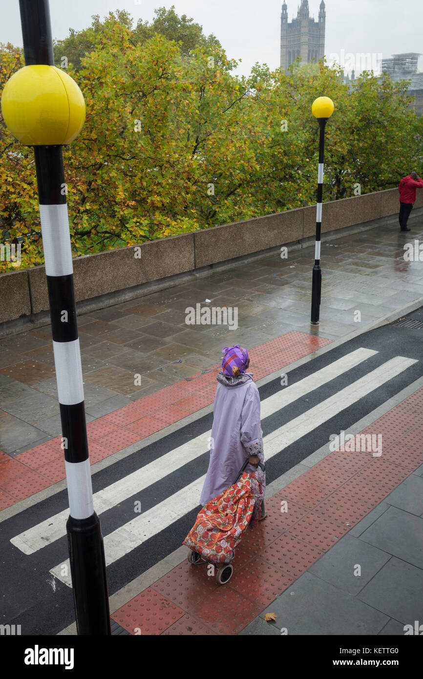 A pedestrian and the new cycle lane zebra crossing, across the Thames ...