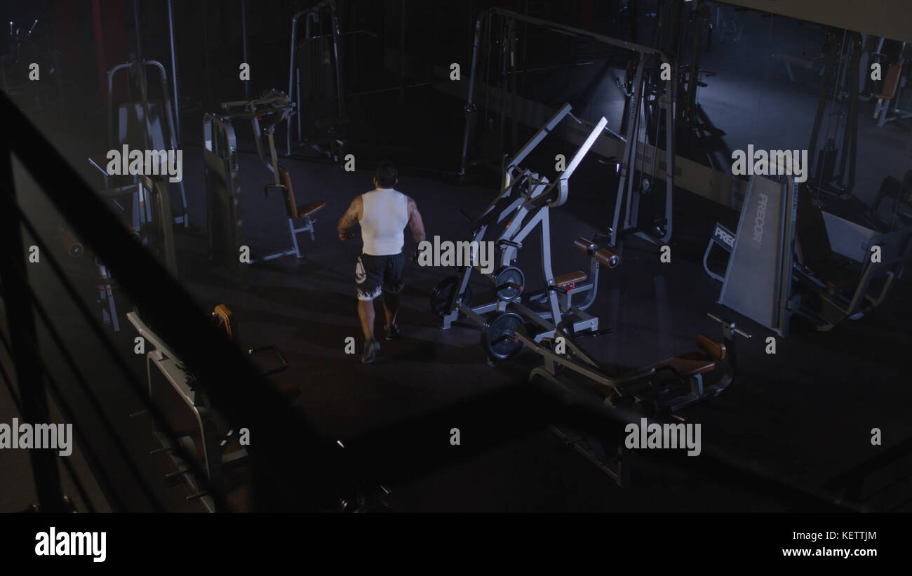 Sportsman athlete bodybuilder trains in the gym. Handsome muscular ...