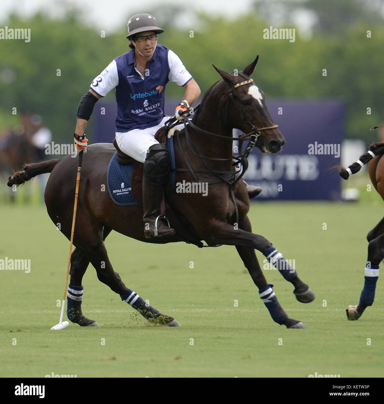 Sentebale polo cup presented by royal salute world polo hi-res stock ...