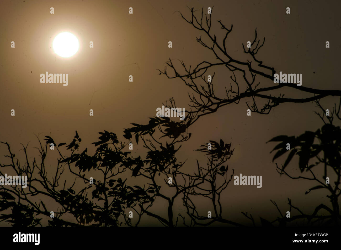 Black sunset shadow hi-res stock photography and images - Alamy
