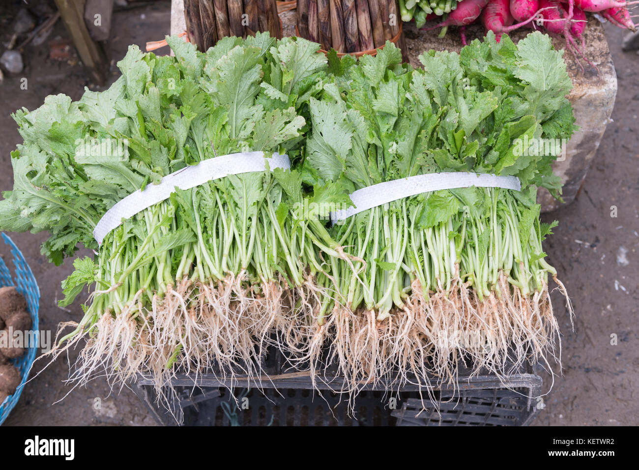 Vietnamese vegetables at outdoor market in sapa, vietnan Stock Photo ...