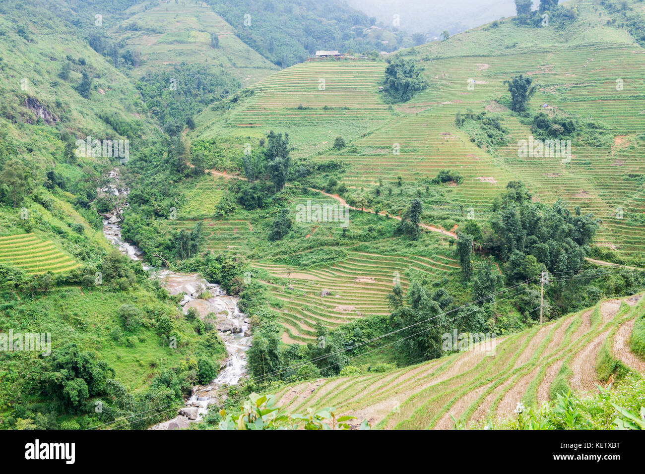 Terraced Rice Field after harvest and river on rainny season on ...