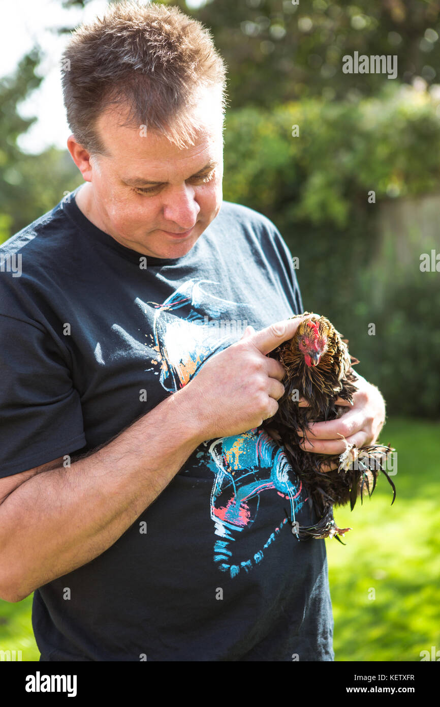 Man with his bantam chicken pet Stock Photo - Alamy