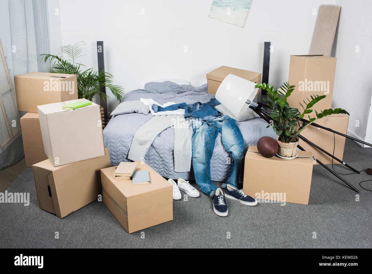 room full of cardboard boxes Stock Photo - Alamy