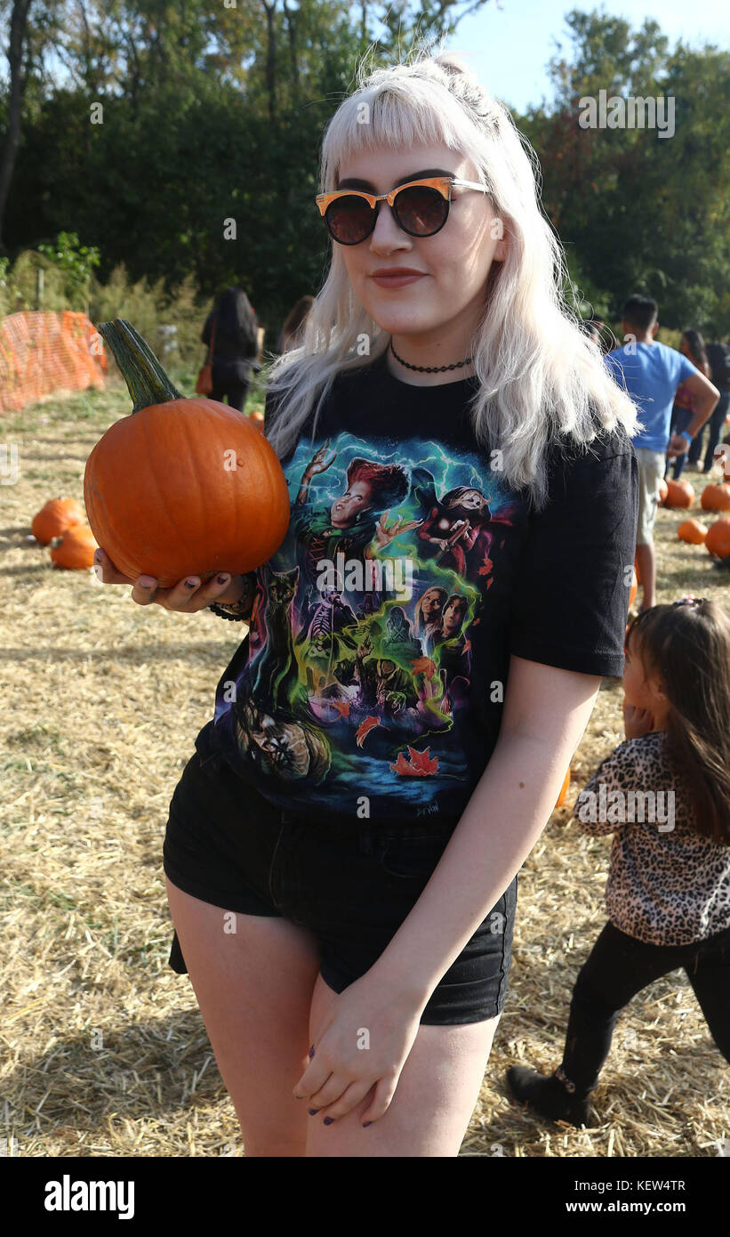 Queens, New York, USA. 23rd Oct, 2017. Millennial with pumpkins at the ...