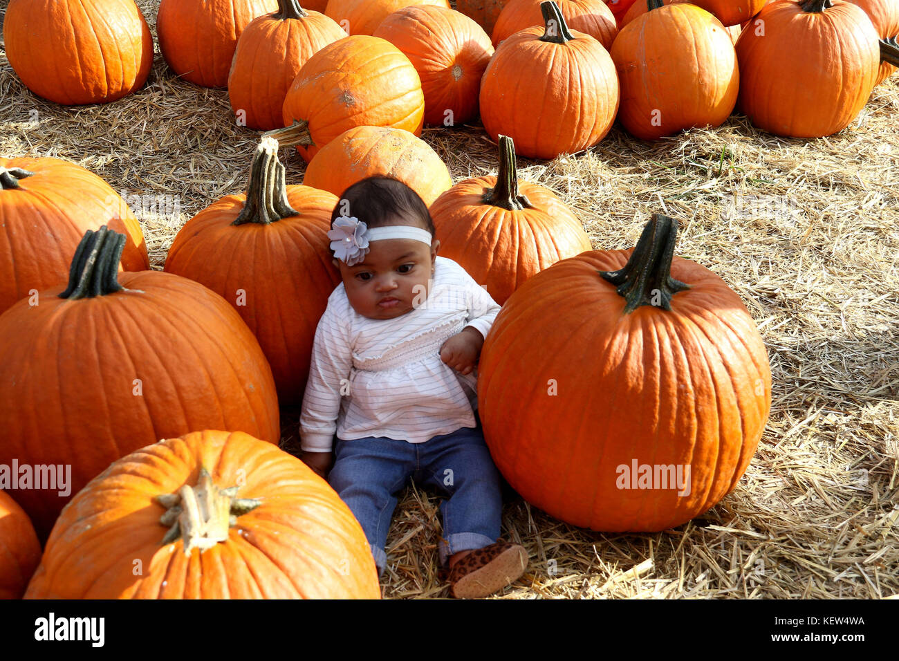 Queens, New York, USA. 23rd Oct, 2017. Cute kid with pumpkins at the ...