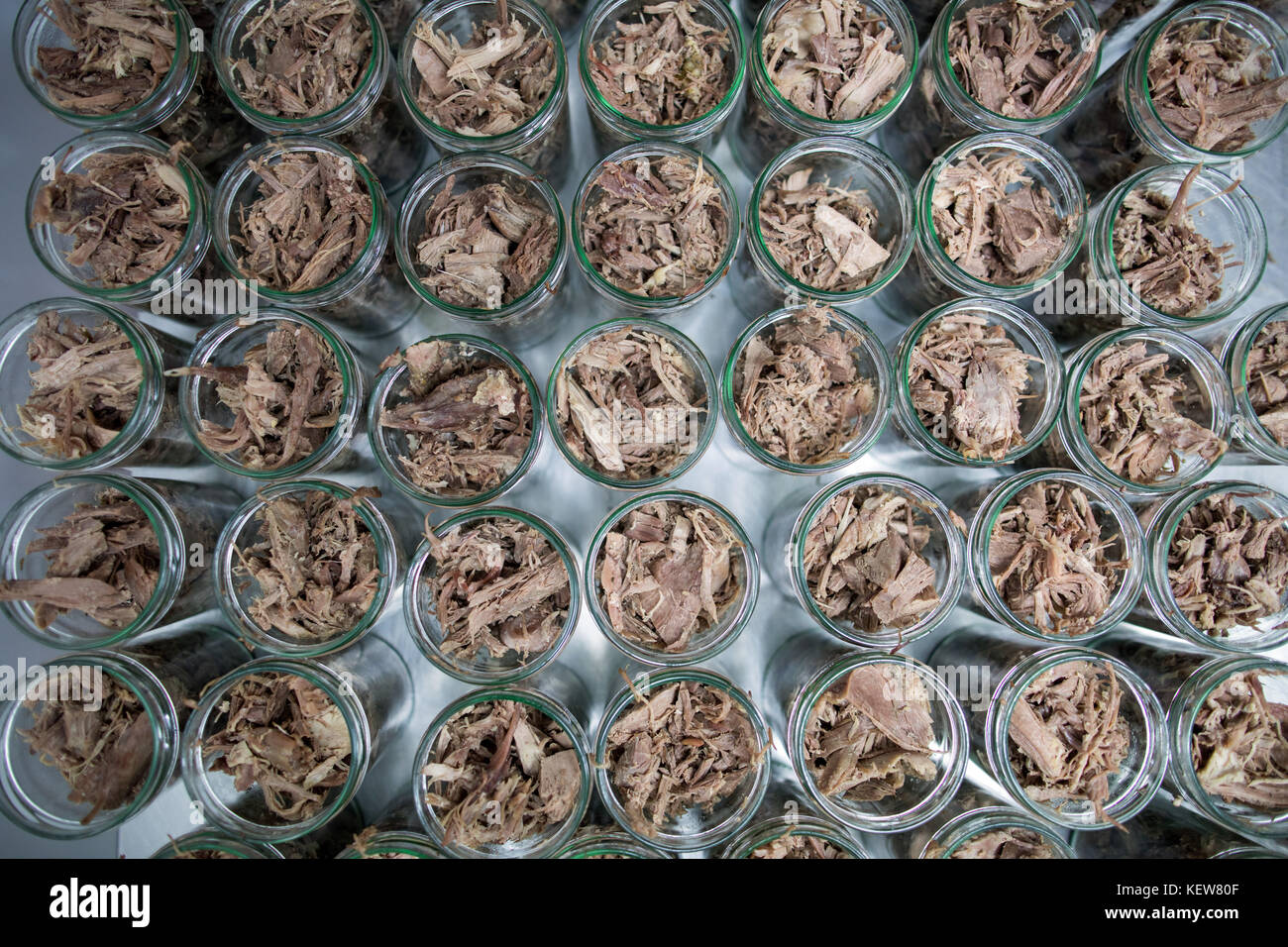 Nantrow, Germany. 11th Oct, 2017. Tanja Traeger producing duck liver ...