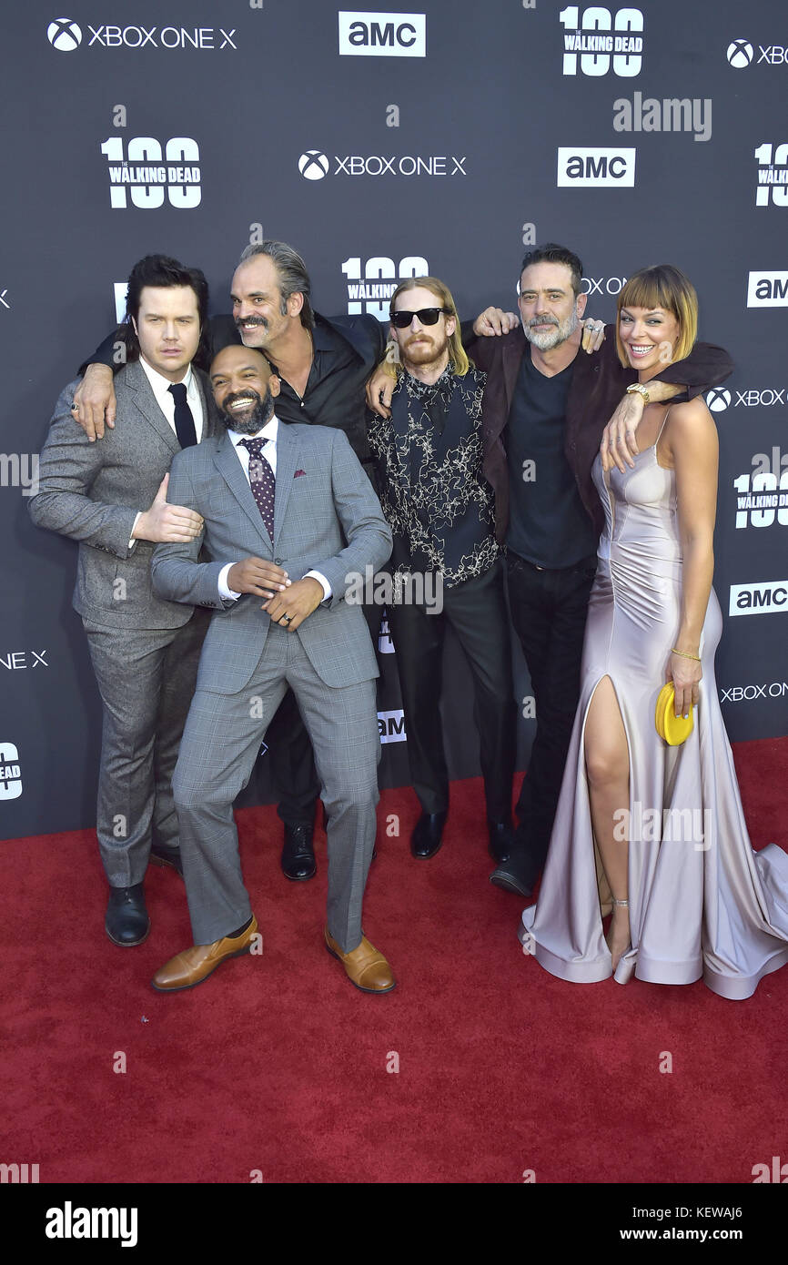 Pollyanna Mcintosh Lane Bryant