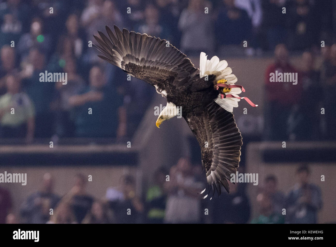 October 23, 2017: Challenger, the Eagle, flies into the stadium during ...