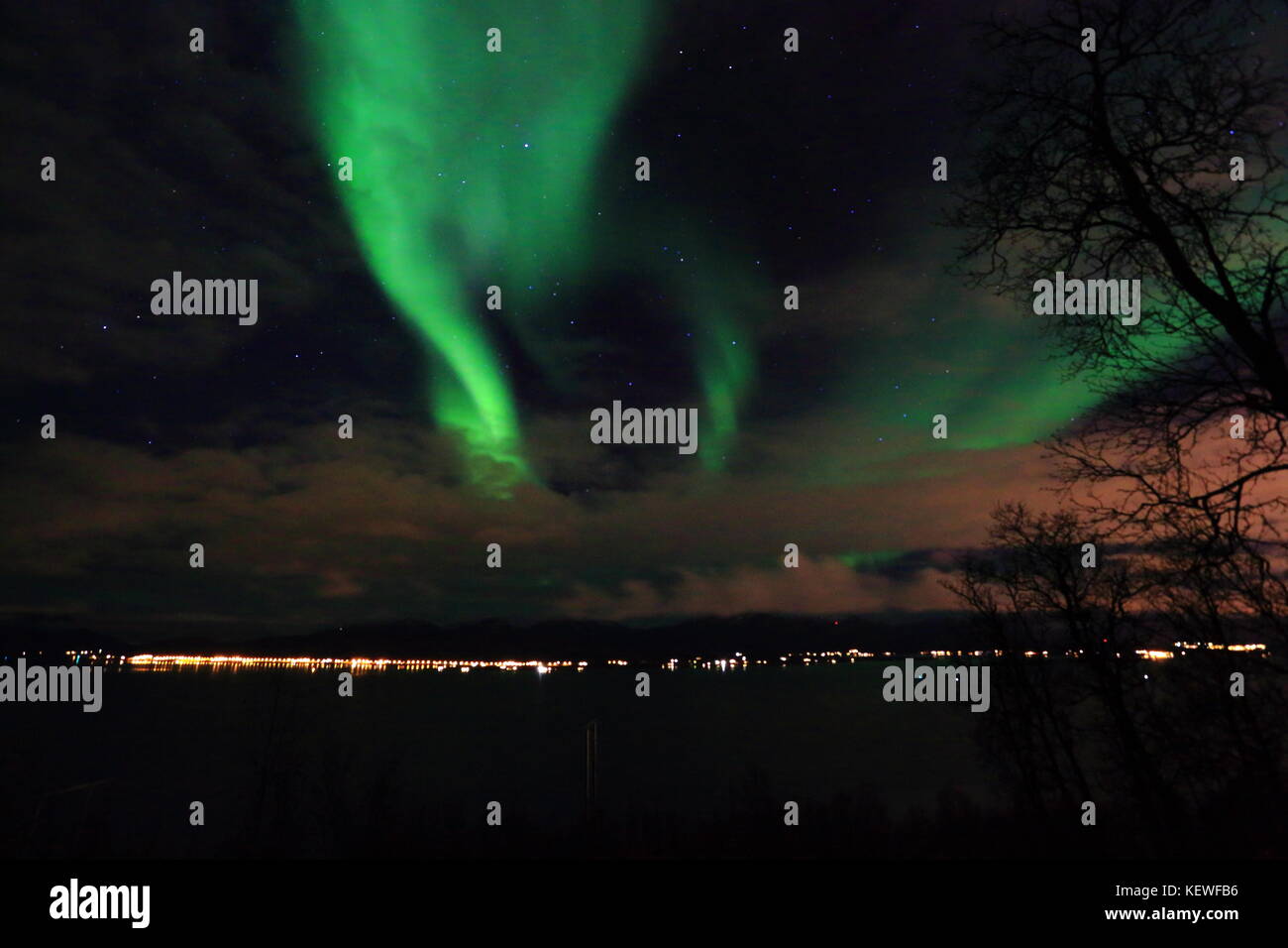 Aurora over trees hi-res stock photography and images - Alamy