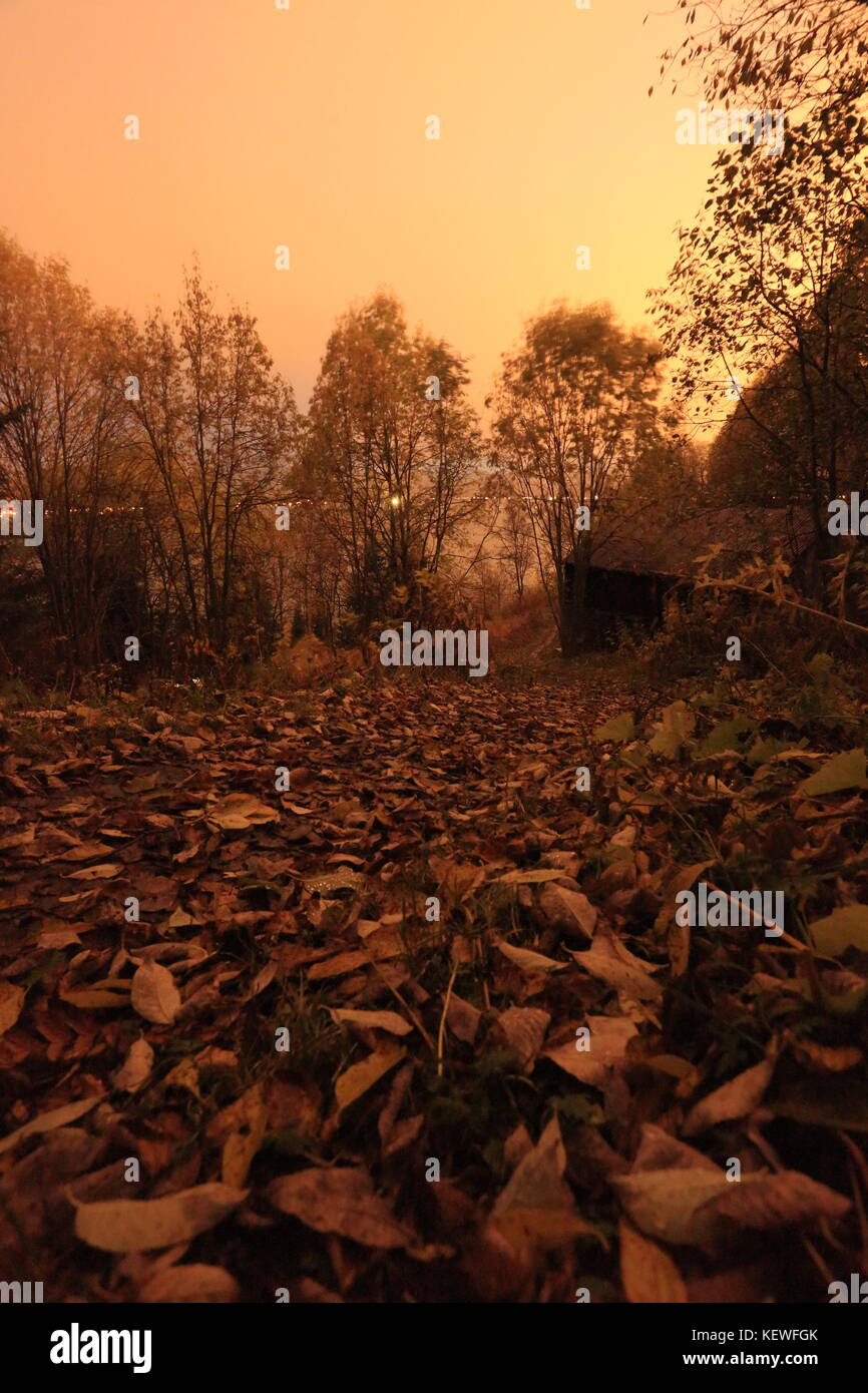 Barn In The Forest At Night Stock Photo - Alamy