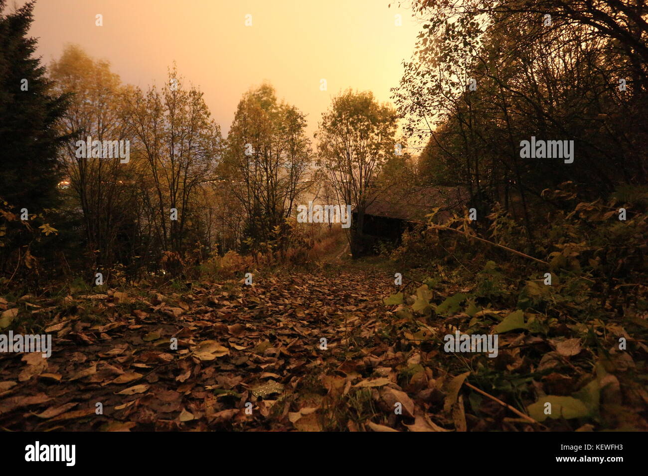 Barn In The Forest At Night Stock Photo - Alamy
