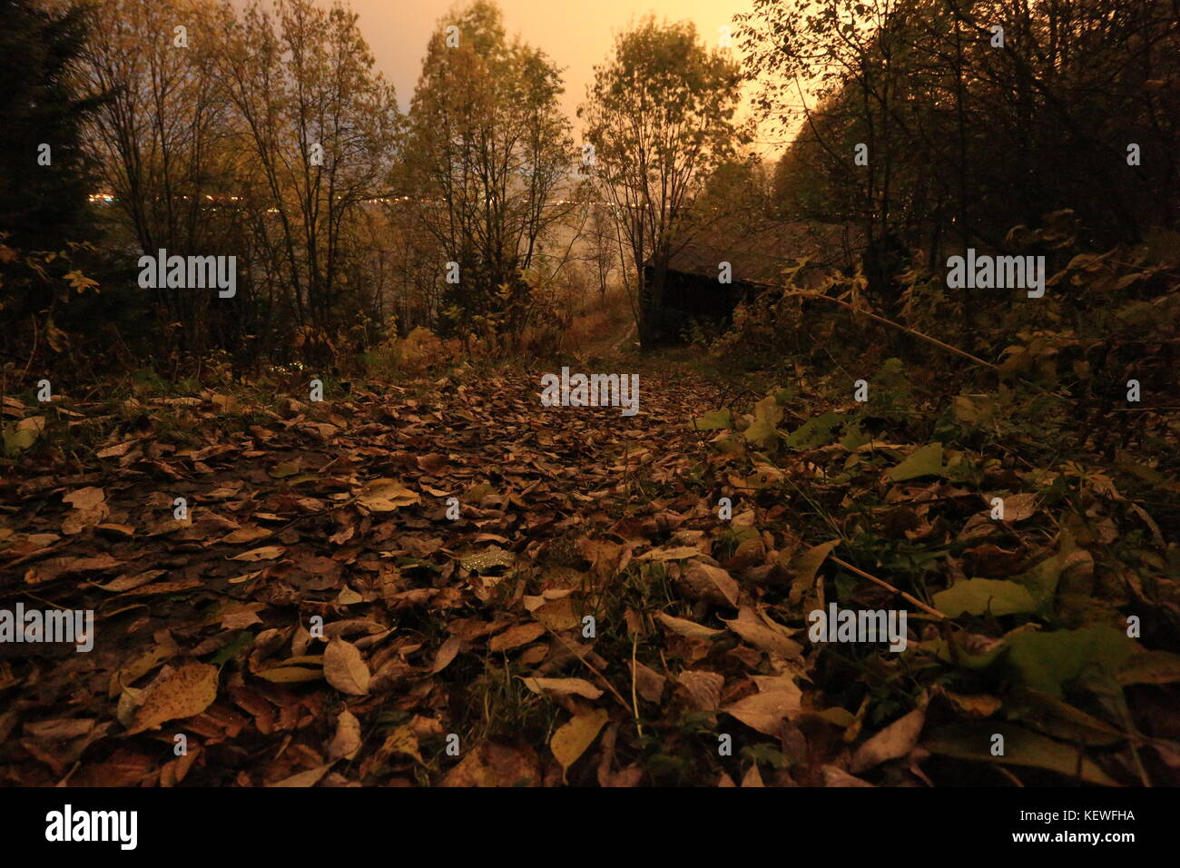 Barn In The Forest At Night Stock Photo - Alamy