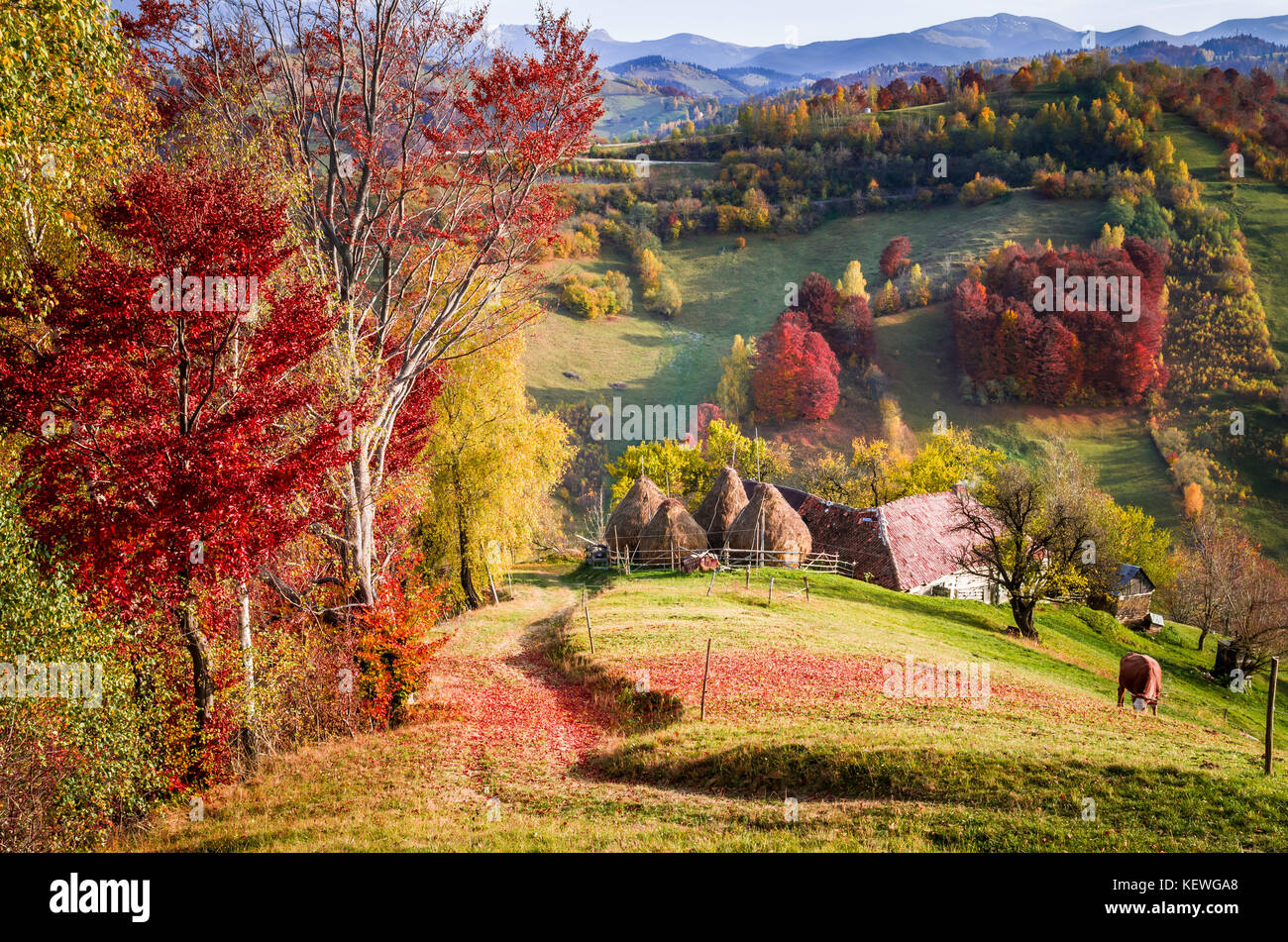 Autumn landscape. Colorful fall scene in a mountain village Stock Photo ...