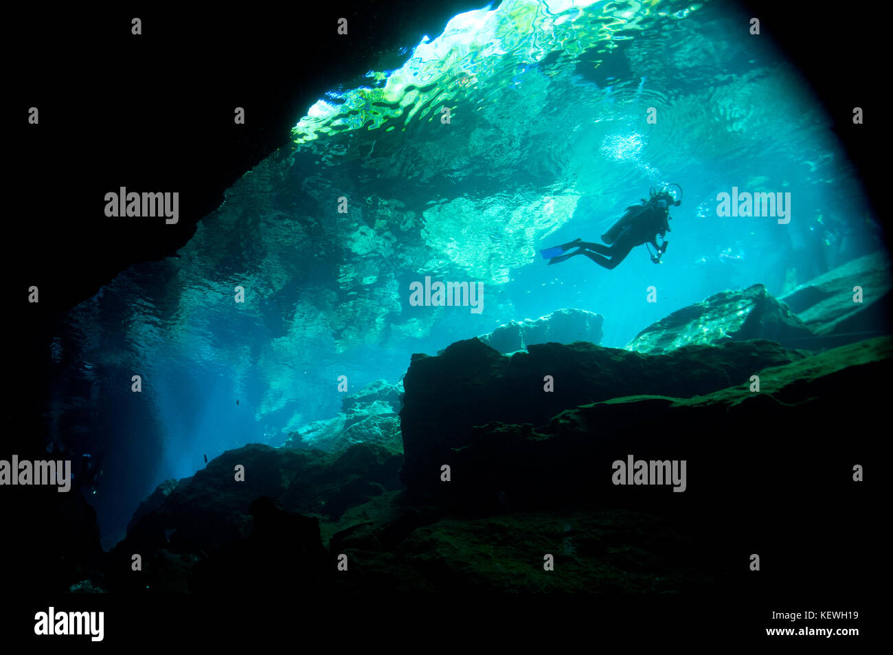 Cenotes hi-res stock photography and images - Alamy