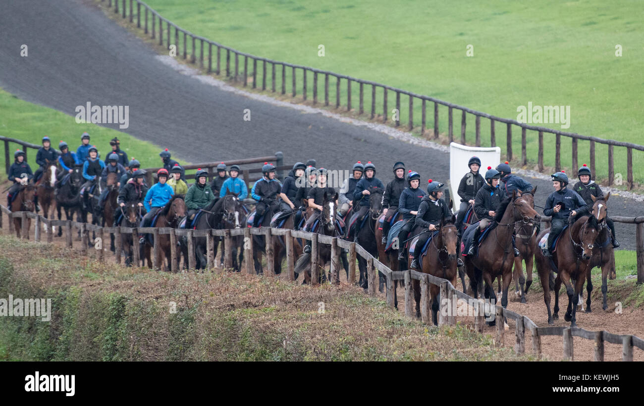 String of horses hi-res stock photography and images - Alamy