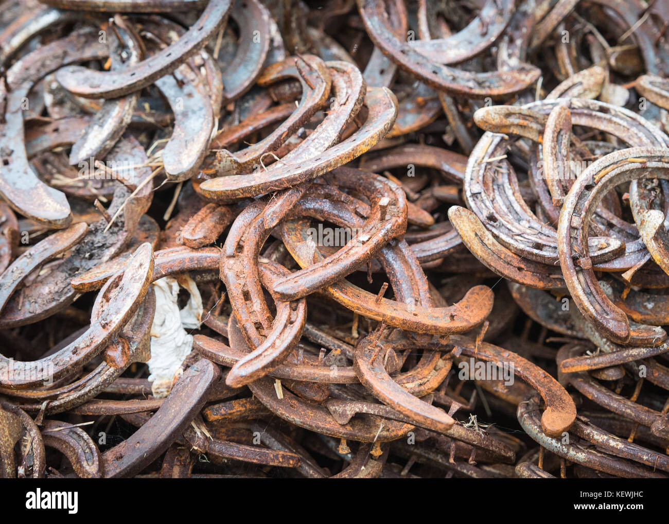 Horse Shoe Nails High Resolution Stock Photography and Images - Alamy