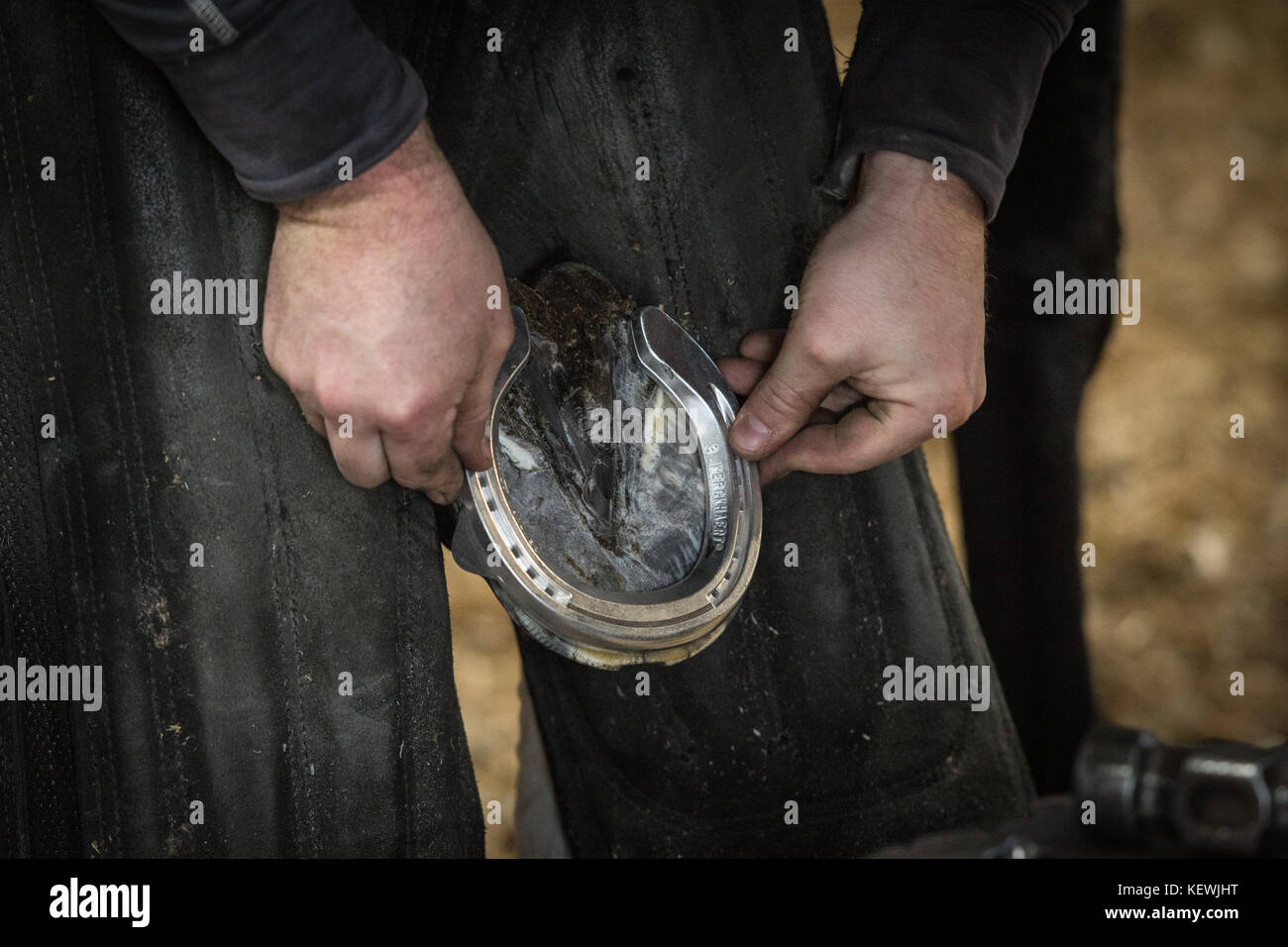 A farrier at work in a horse racing yard Stock Photo - Alamy