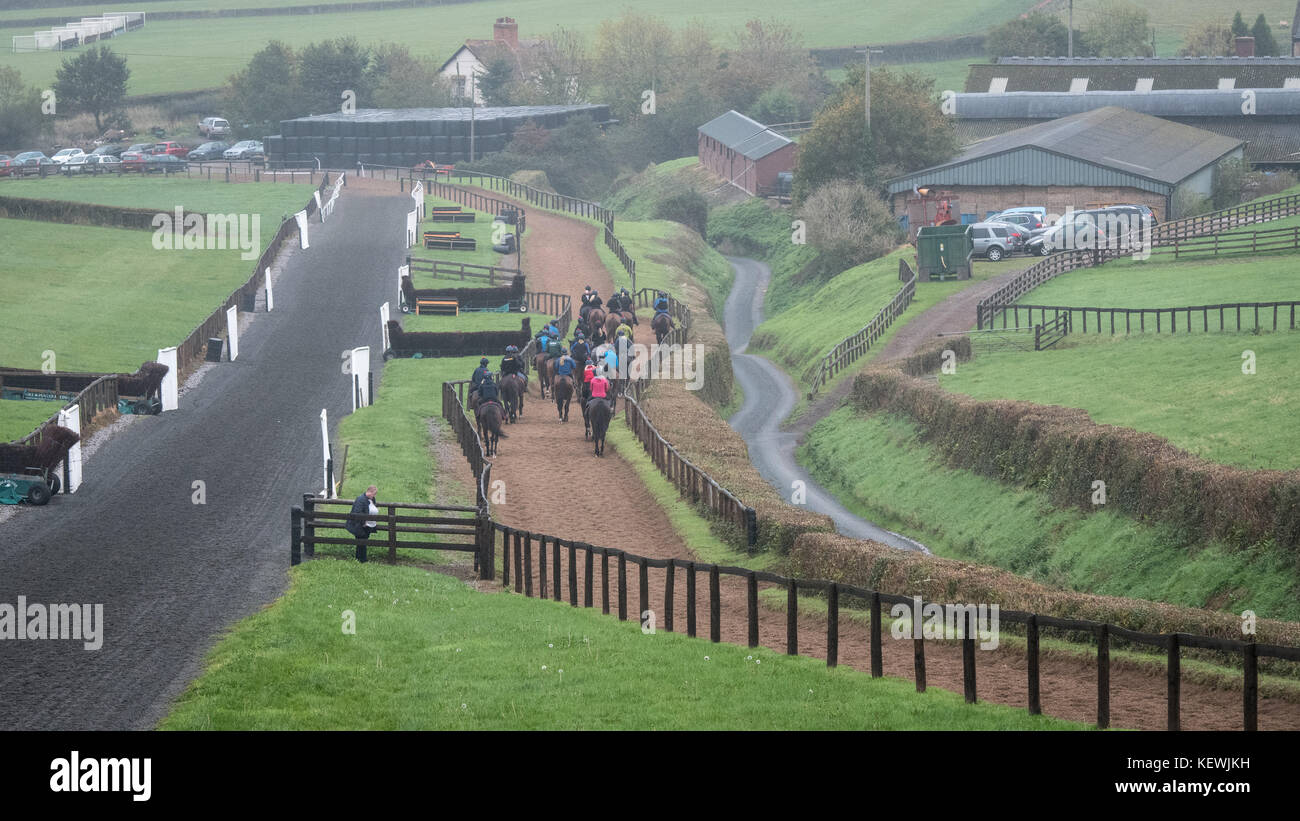Racehorse Stables High Resolution Stock Photography and Images - Alamy
