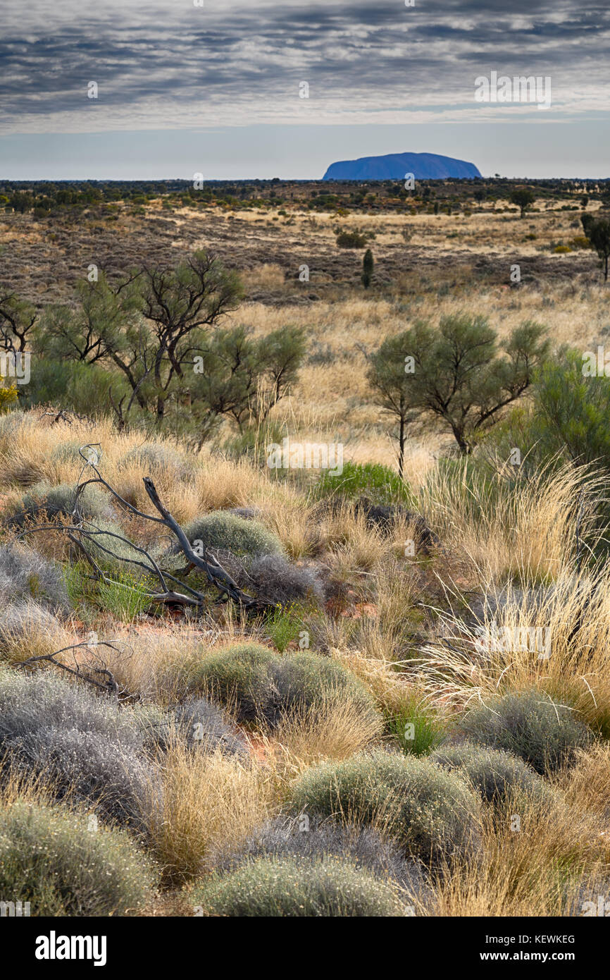in australia the concept of wilderness environment in the landscape ...