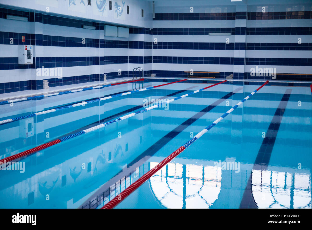 pool for swimming athletes of the track Stock Photo - Alamy