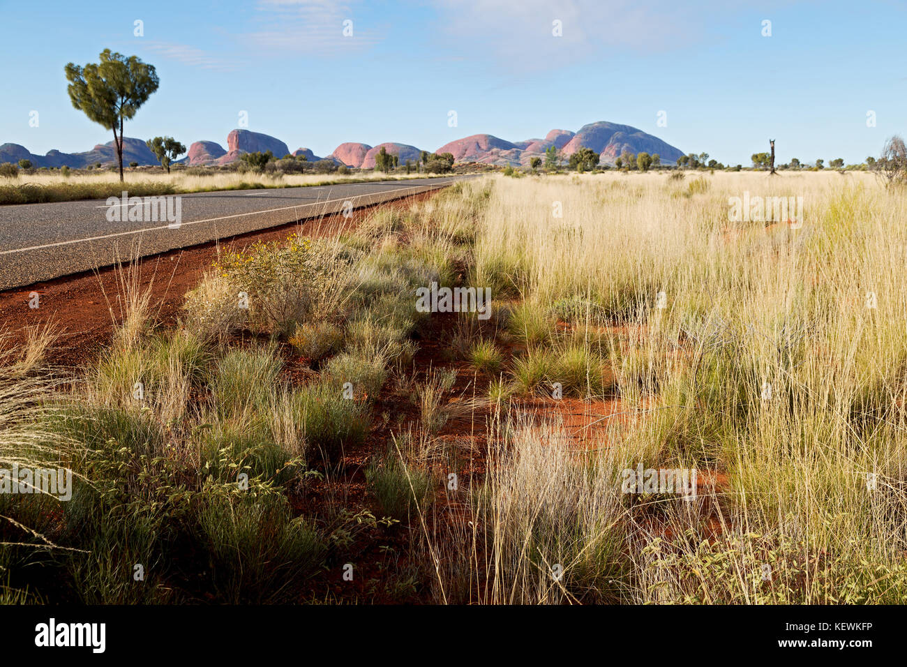 in australia the concept of wilderness environment in the landscape ...