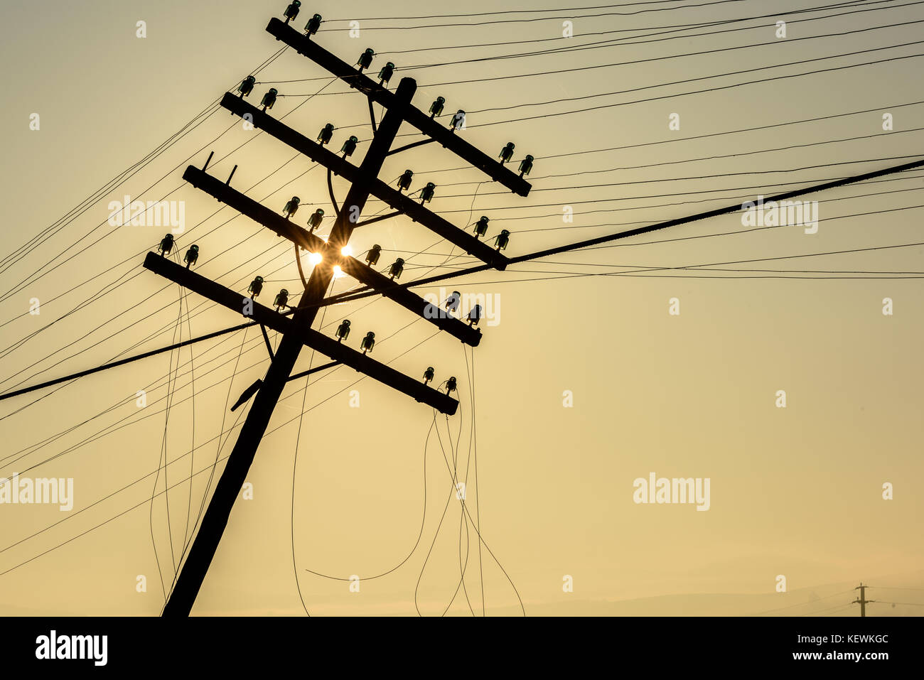 Old wooden pillar with power line in sunrise. Wooden pylon with wires ...