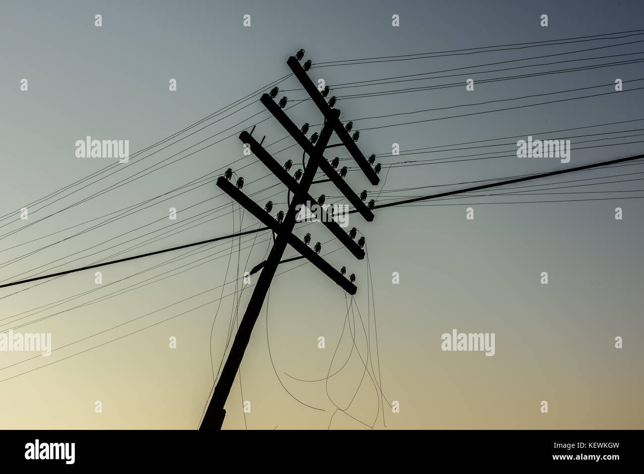 Old wooden pillar with power line in sunrise. Wooden pylon with wires ...