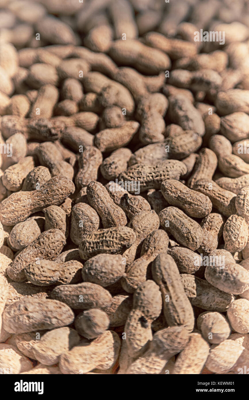 in the market lots of peanuts like concept of healthy food and snack ...