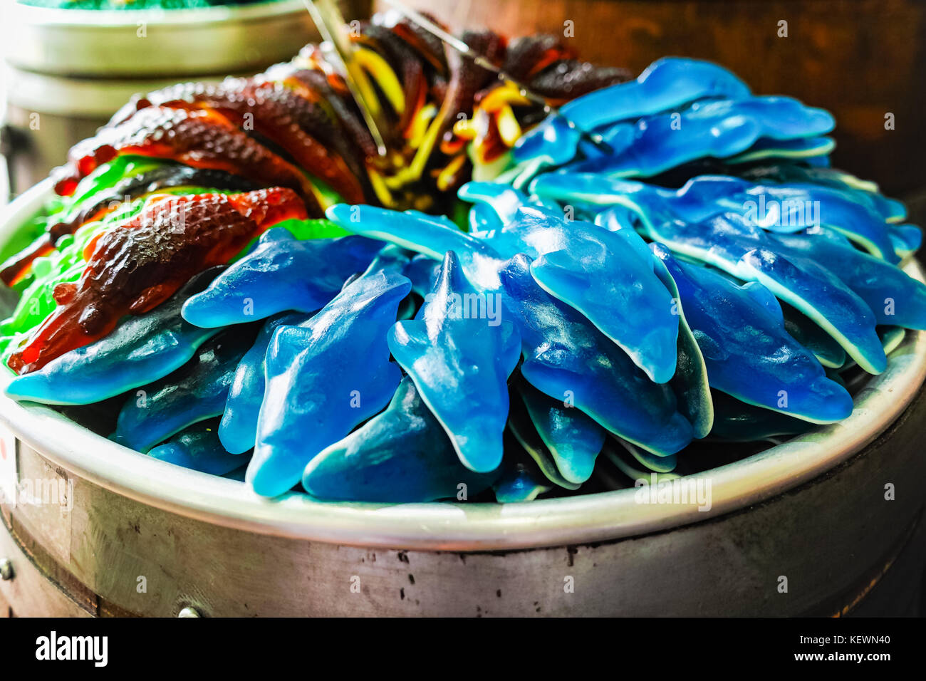 Happy candy and bubble chewing gum shop, sweet candy blue dolphin Stock ...
