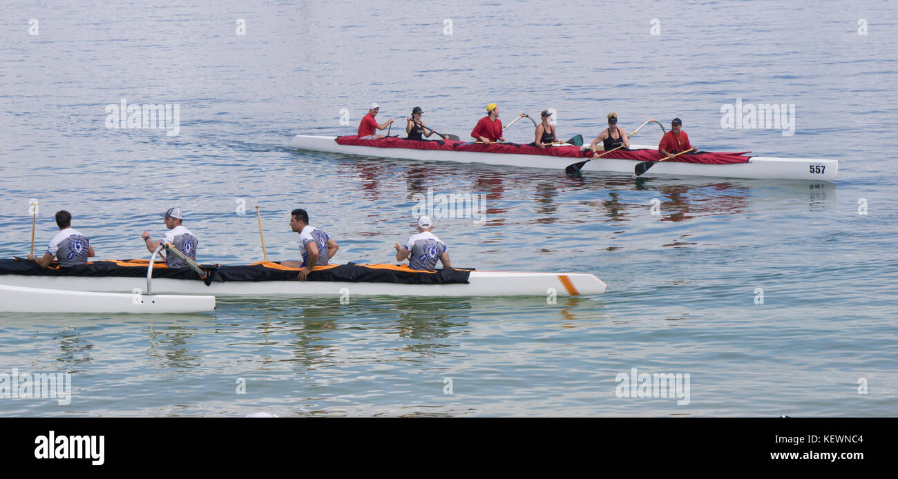 An Outrigger Canoe race in South Sydney Stock Photo - Alamy