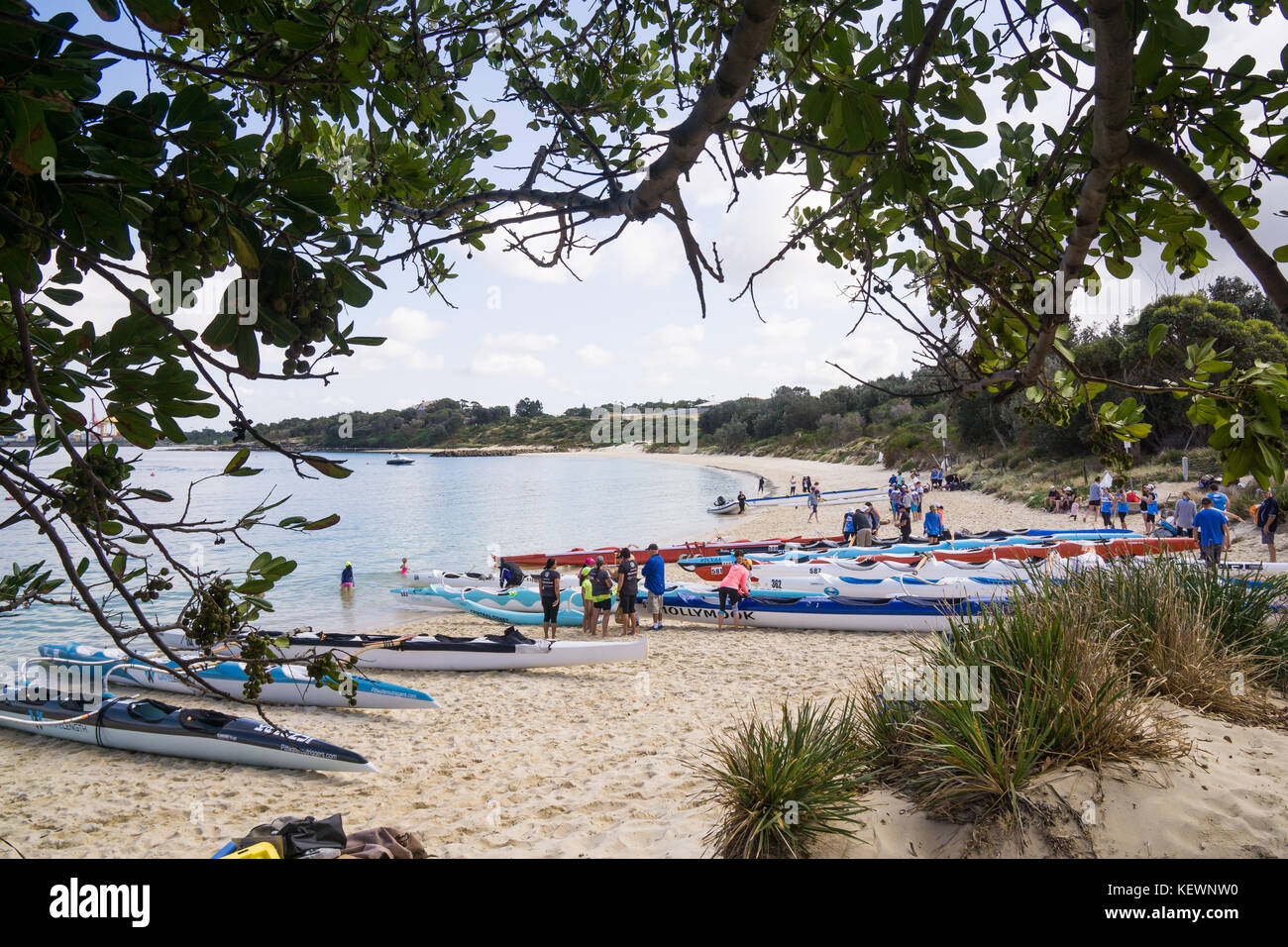 An Outrigger Canoe race in South Sydney Stock Photo - Alamy